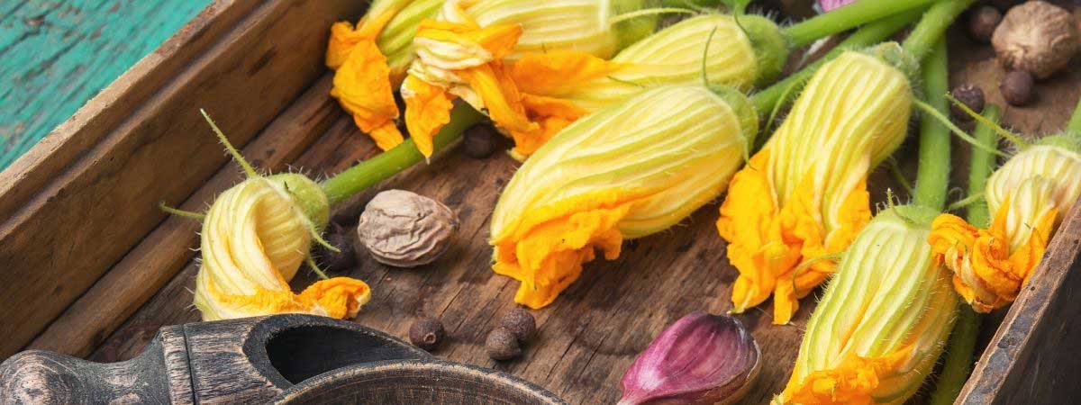 Flor de calabaza, todo lo que debes saber de este superalimento | CM ...